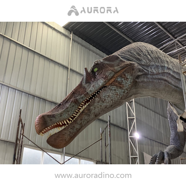 Lifesize Animatronic Spinosaurus for Dino Dragon Exhibits