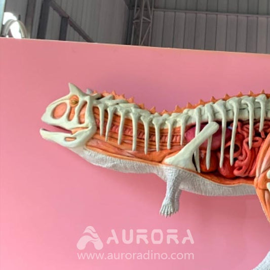 Carnotaurus Skeleton Model Display With Movements