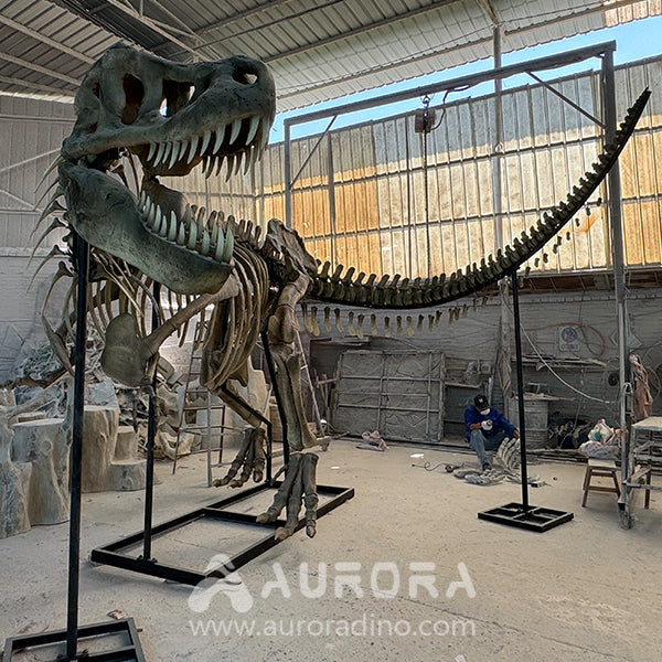 T-rex Dinosaur Skeleton Replica Supplier In Aurora Dino