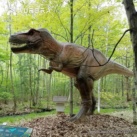 12m T- rex for Animatronic Dinosaur in Roar Park