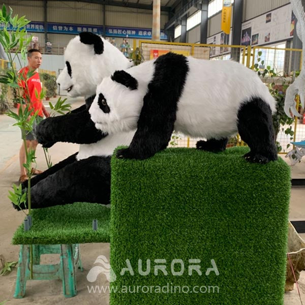 Animatronic Panda Eating Bamboo And Baby Panda Group